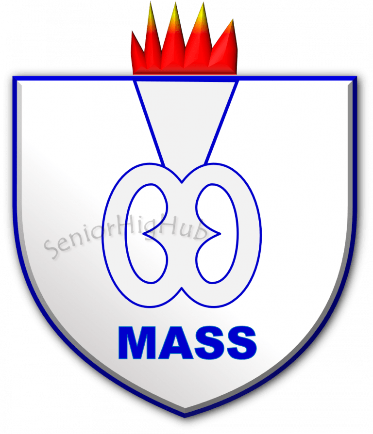 Mangoase Senior High - GhanaHighSchools.com