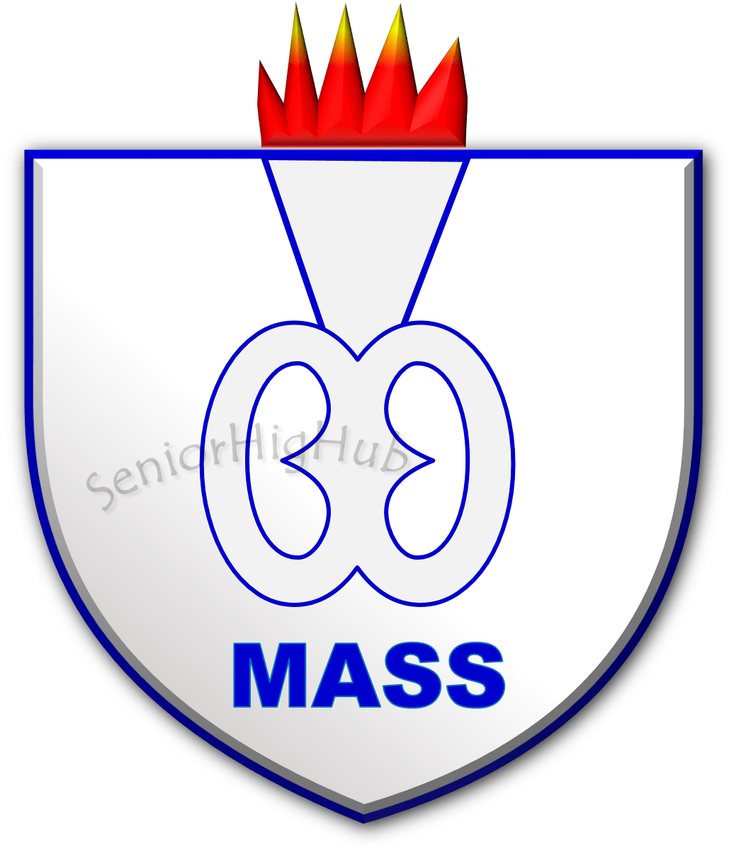 Mangoase Senior High - GhanaHighSchools.com