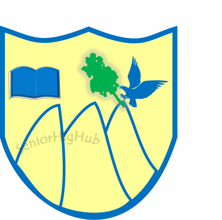 Asesewa Senior High School - GhanaHighSchools.com